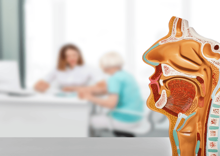 Oto-Rhino-Laryngologie | ORL et Chirurgie cervico-faciale - St Côme