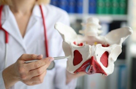 Chirurgie du Prolapsus - St Côme